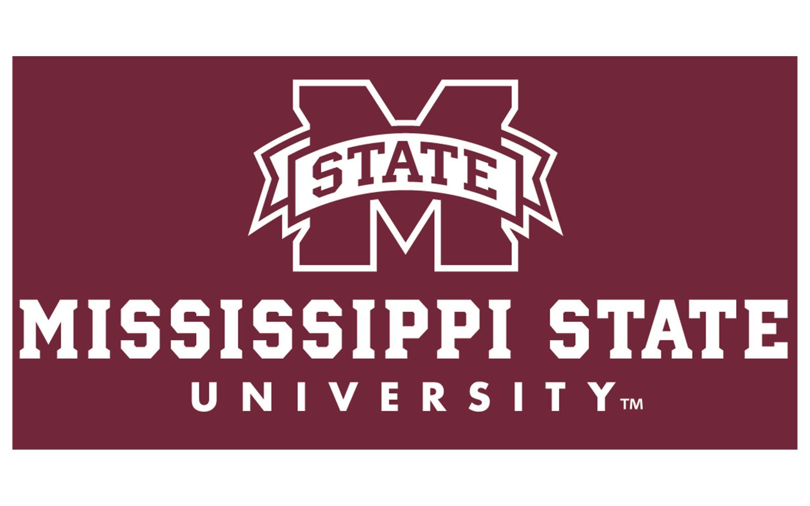 MSU sharpens student success focus, starting with Holmes Center ...