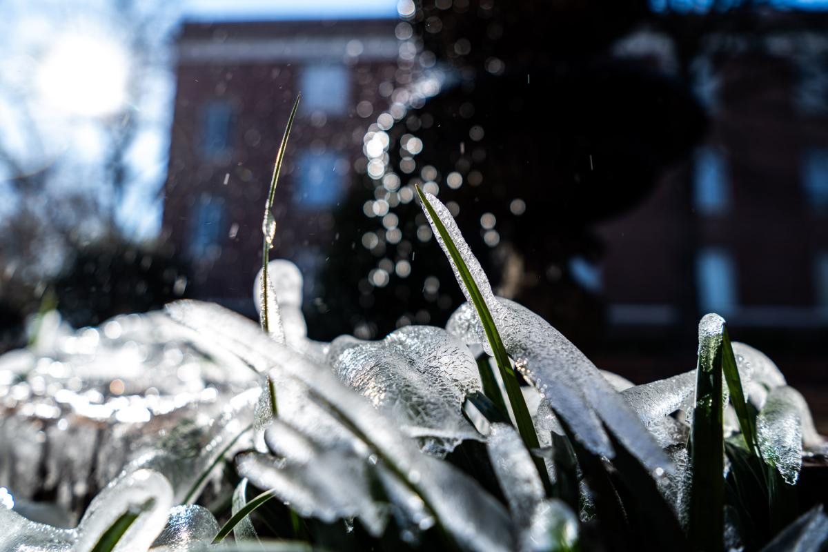 MSU announces remote operations Friday due to winter weather ...